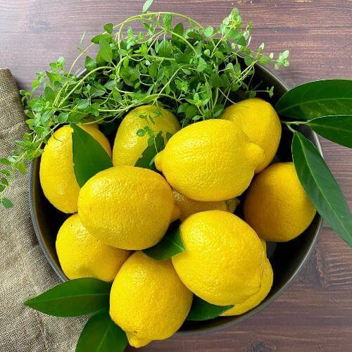 Fresh Lemon Squeeze Fragrance Oil - Zesty Aroma – The Fragrance Room