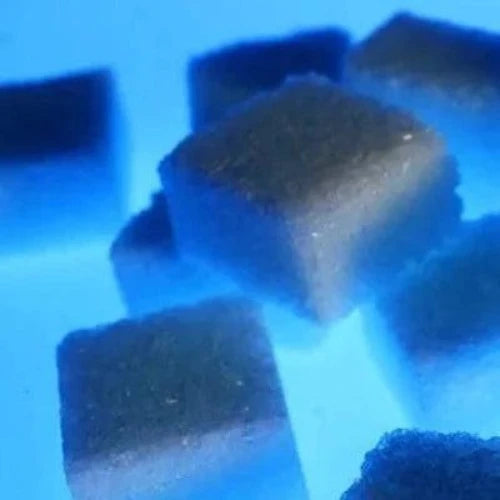 Blue Sugar Fragrance Oil | The Fragrance Room